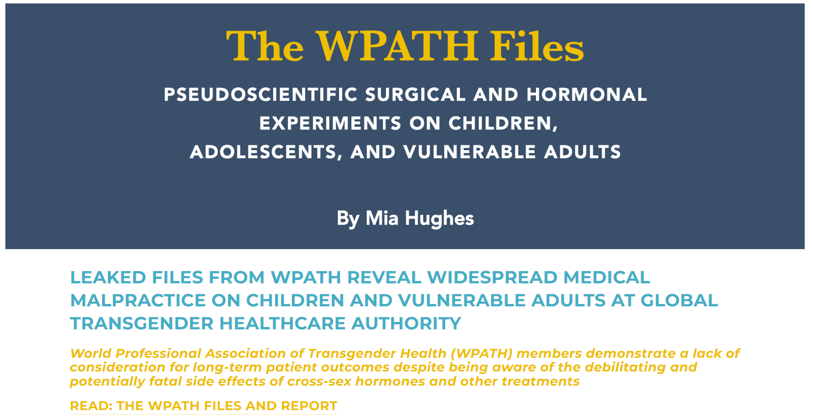WPATH FILES - The Cornerstone Standard