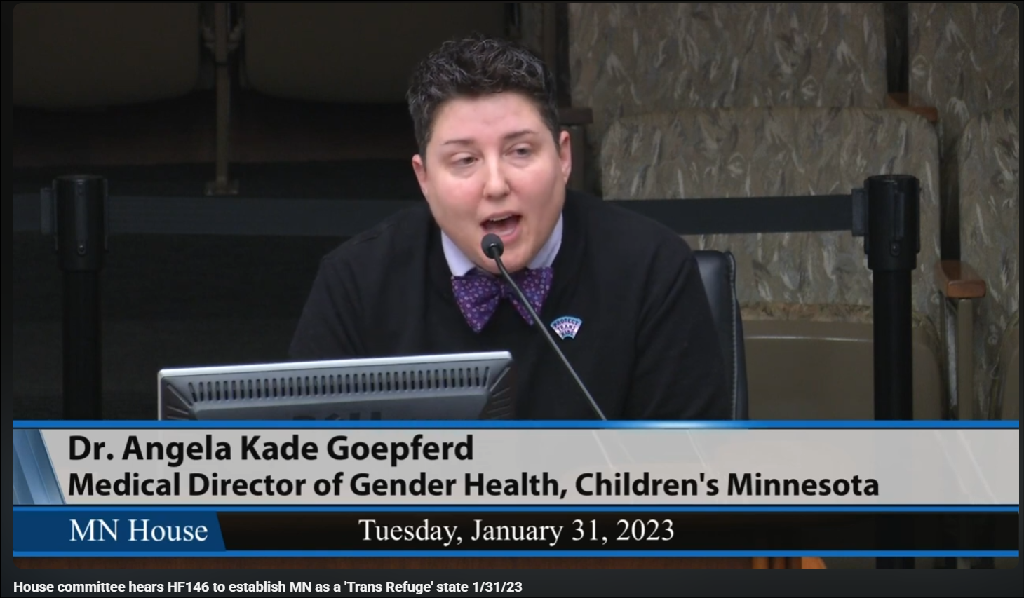 Dr. Kade of MN Children's Hospital Testifies to WPATH standards of care ...